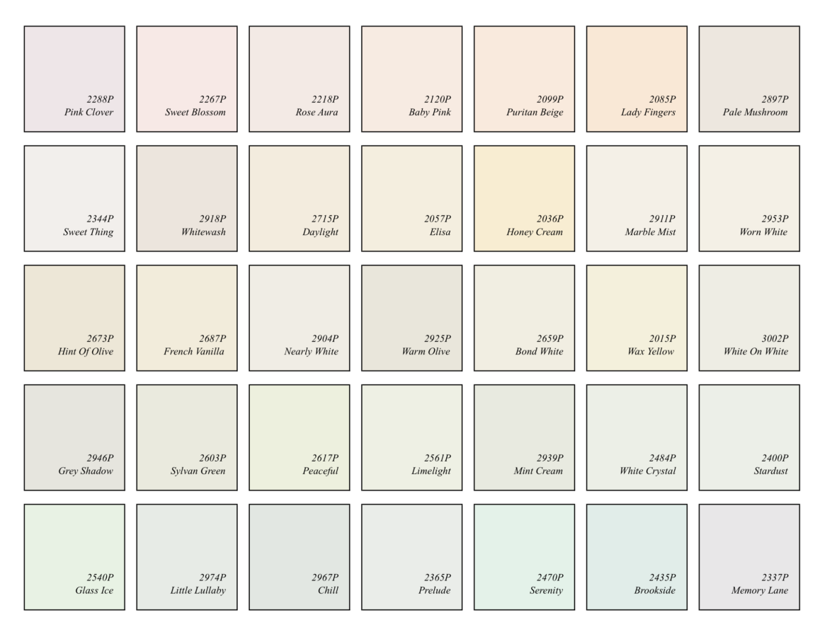 Microcement - Experts