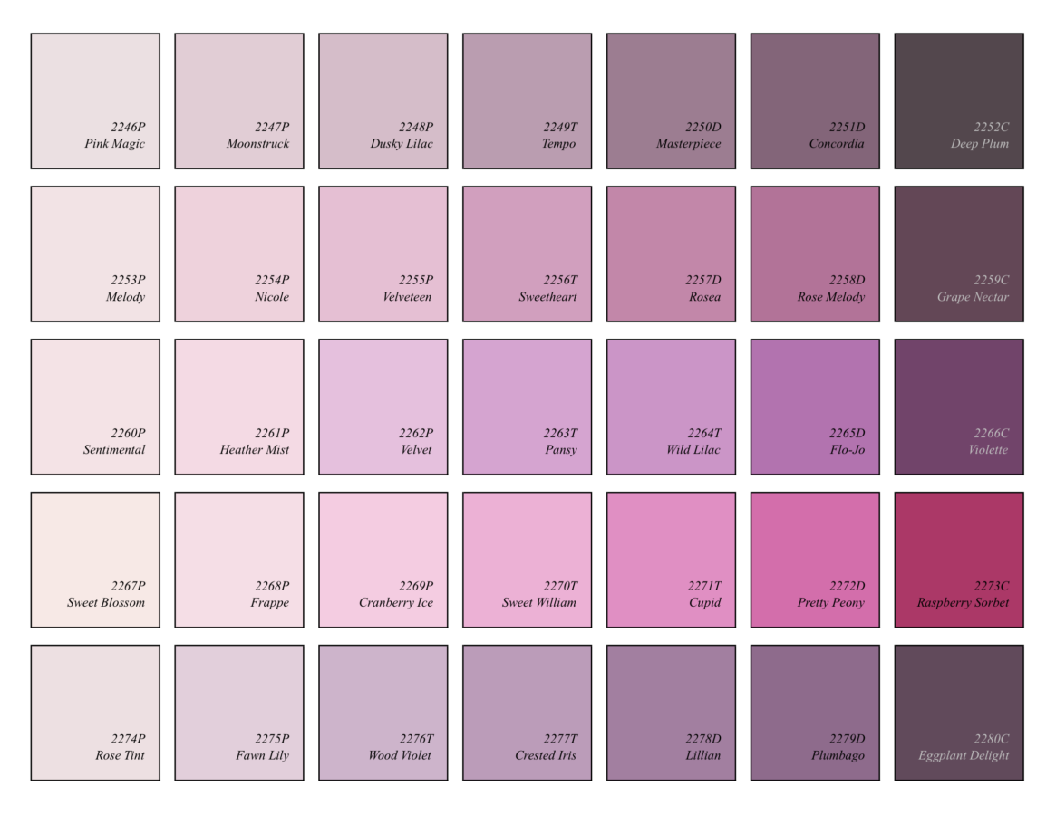 Microcement - Experts