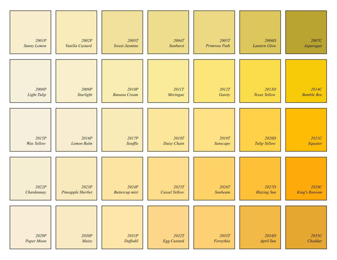 Microcement - Experts